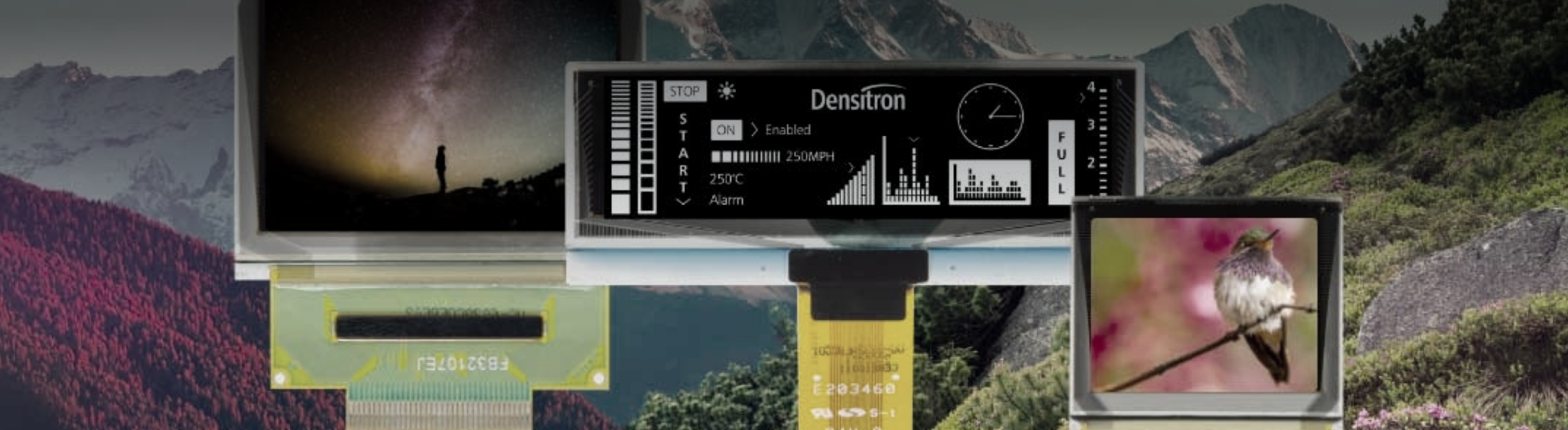 OLED Displays | OLED screens by Densitron - Densitron
